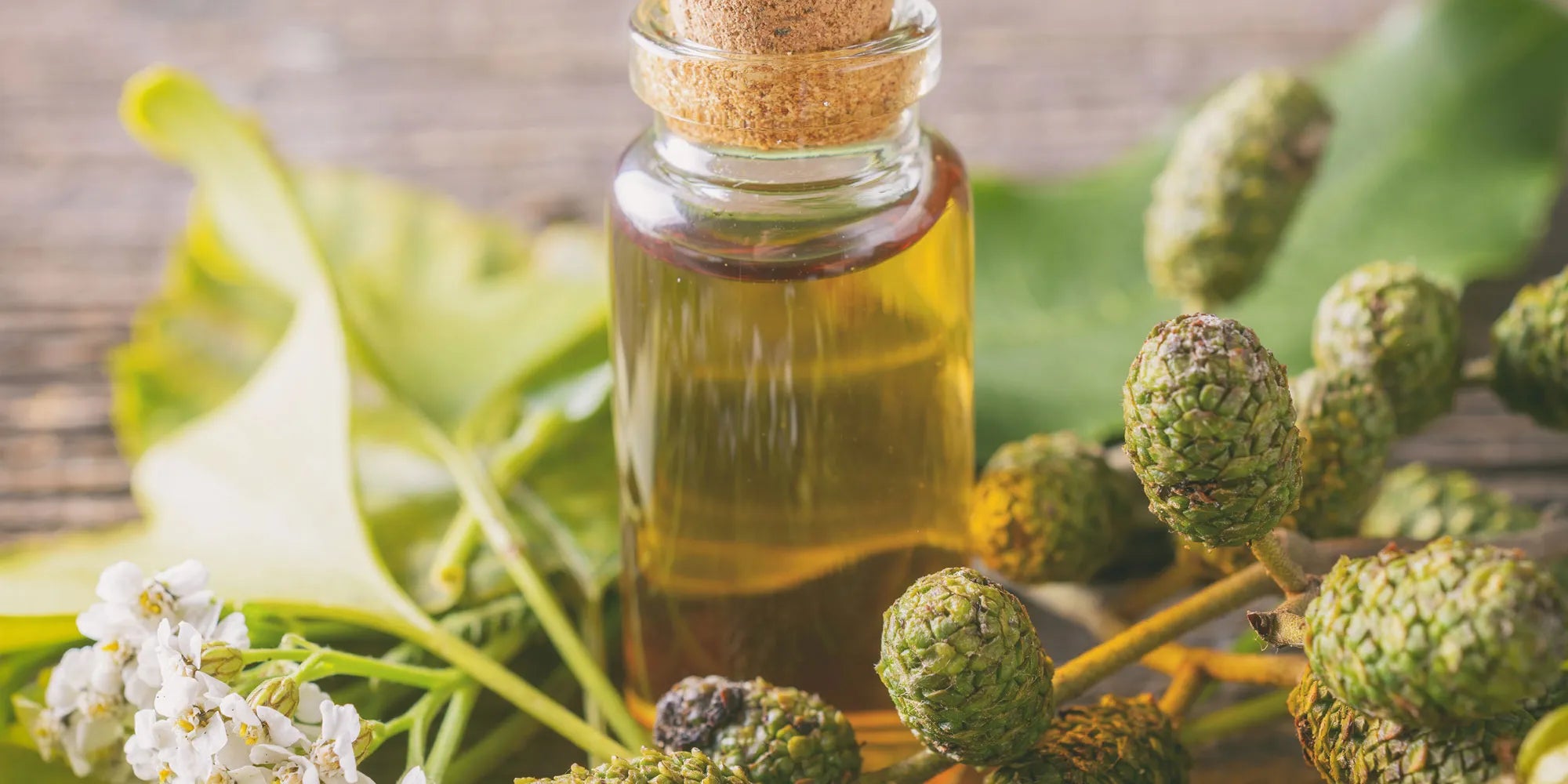 Everything you needed to know about acetone for extraction | Lab Alley