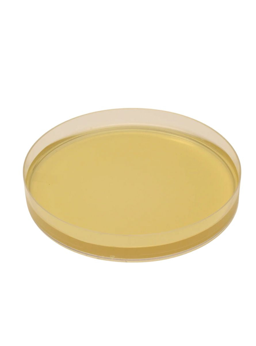Sabouraud Dex Agar Plates, 10-Pack, Case of 5 | Lab Alley